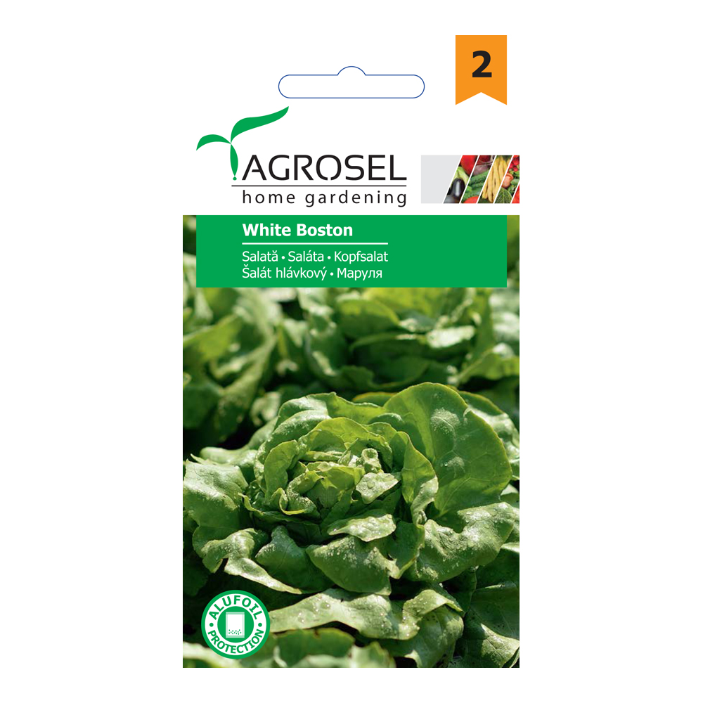 Seminte de salata, Agrosel White Boston | MatHaus