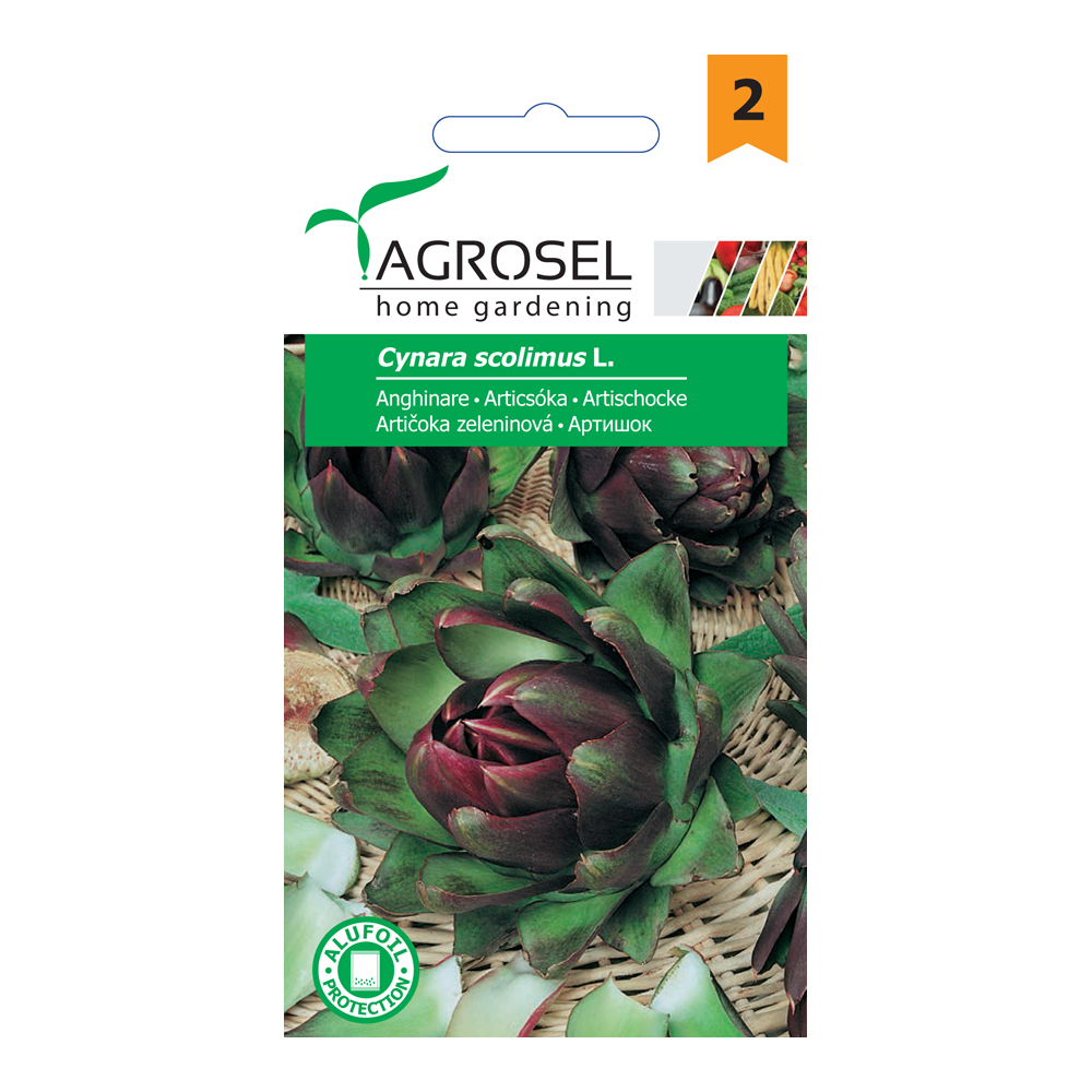 Seminte de anghinare, Agrosel | MatHaus