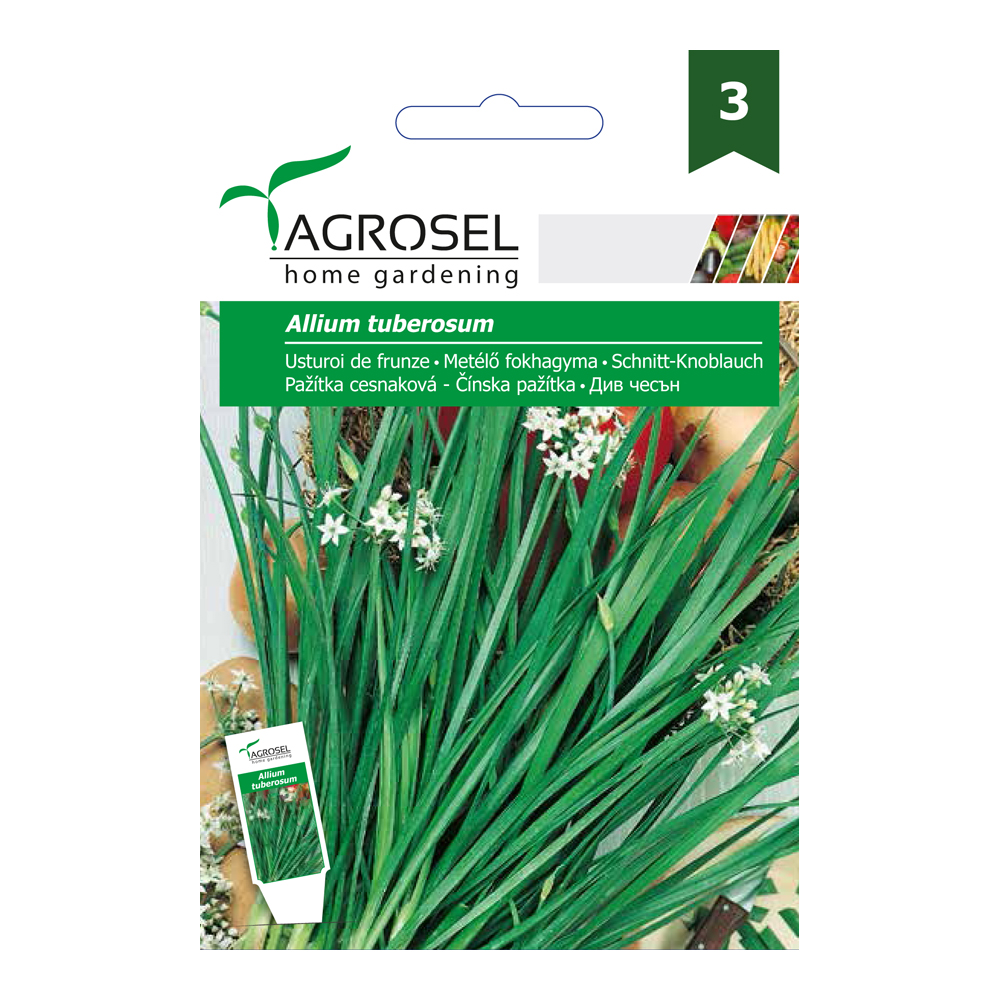 Seminte de usturoi de frunze, Agrosel | MatHaus