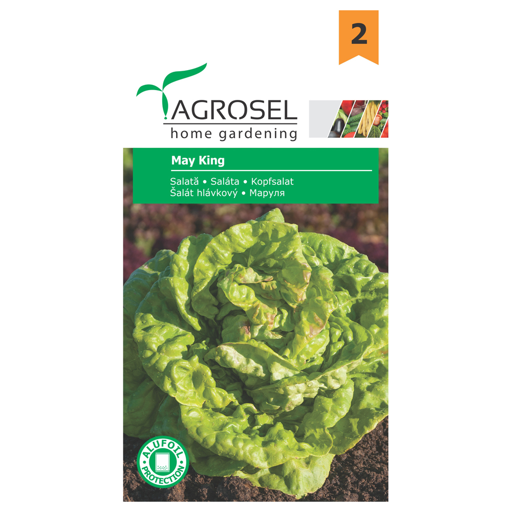 Seminte de salata, Agrosel May King | MatHaus