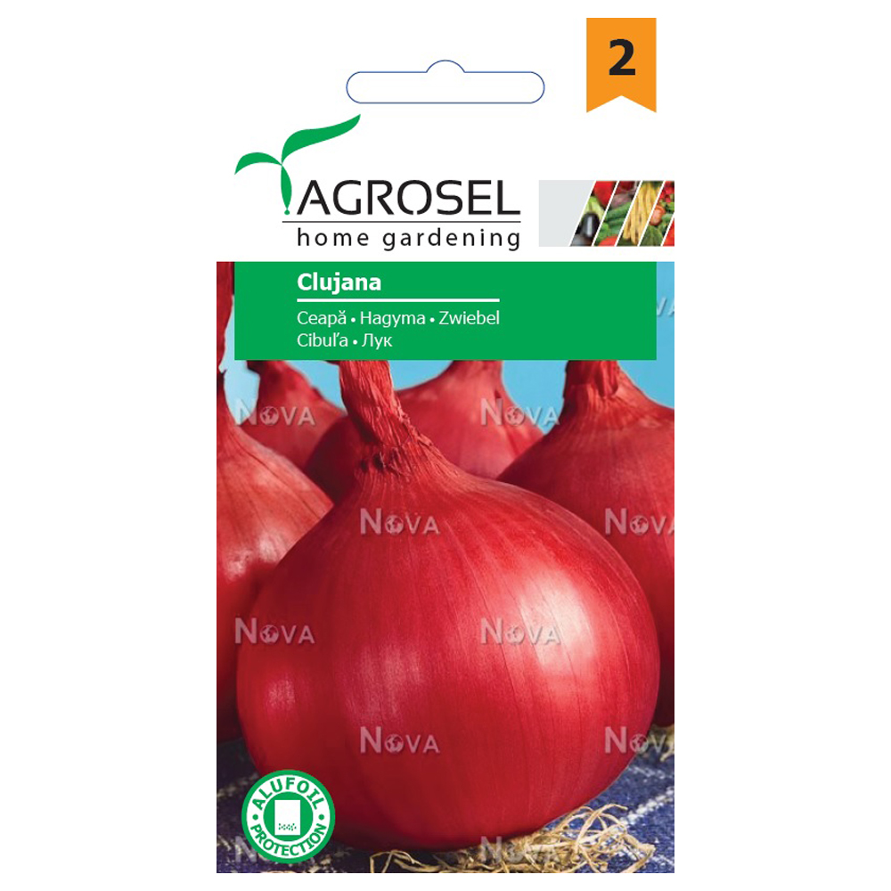 Seminte de ceapa rosie, Agrosel Clujana | MatHaus