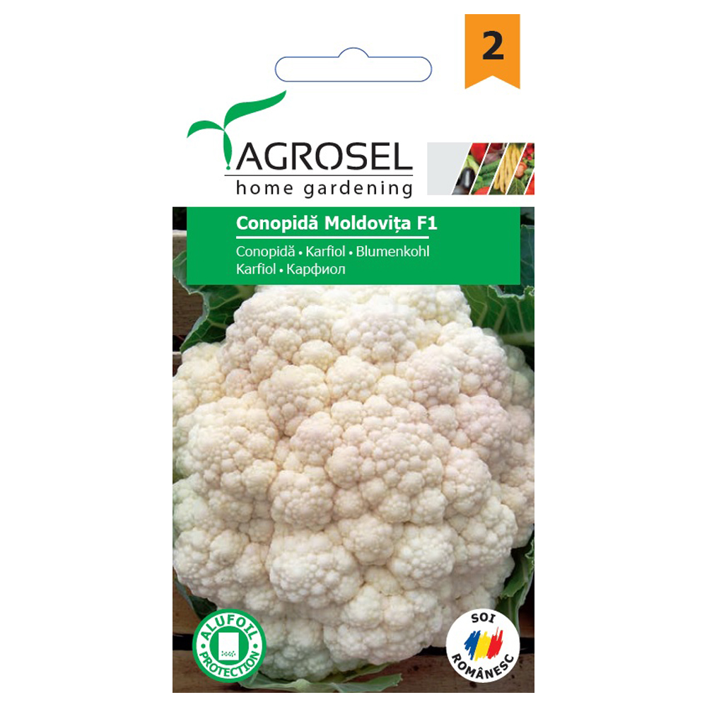 Seminte de conopida, Agrosel Moldovita F1 - Cod produs: 11162645 | MatHaus