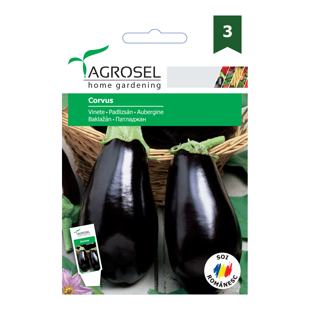 Seminte de vinete, Agrosel Corvus - Cod produs: 11157431 | MatHaus