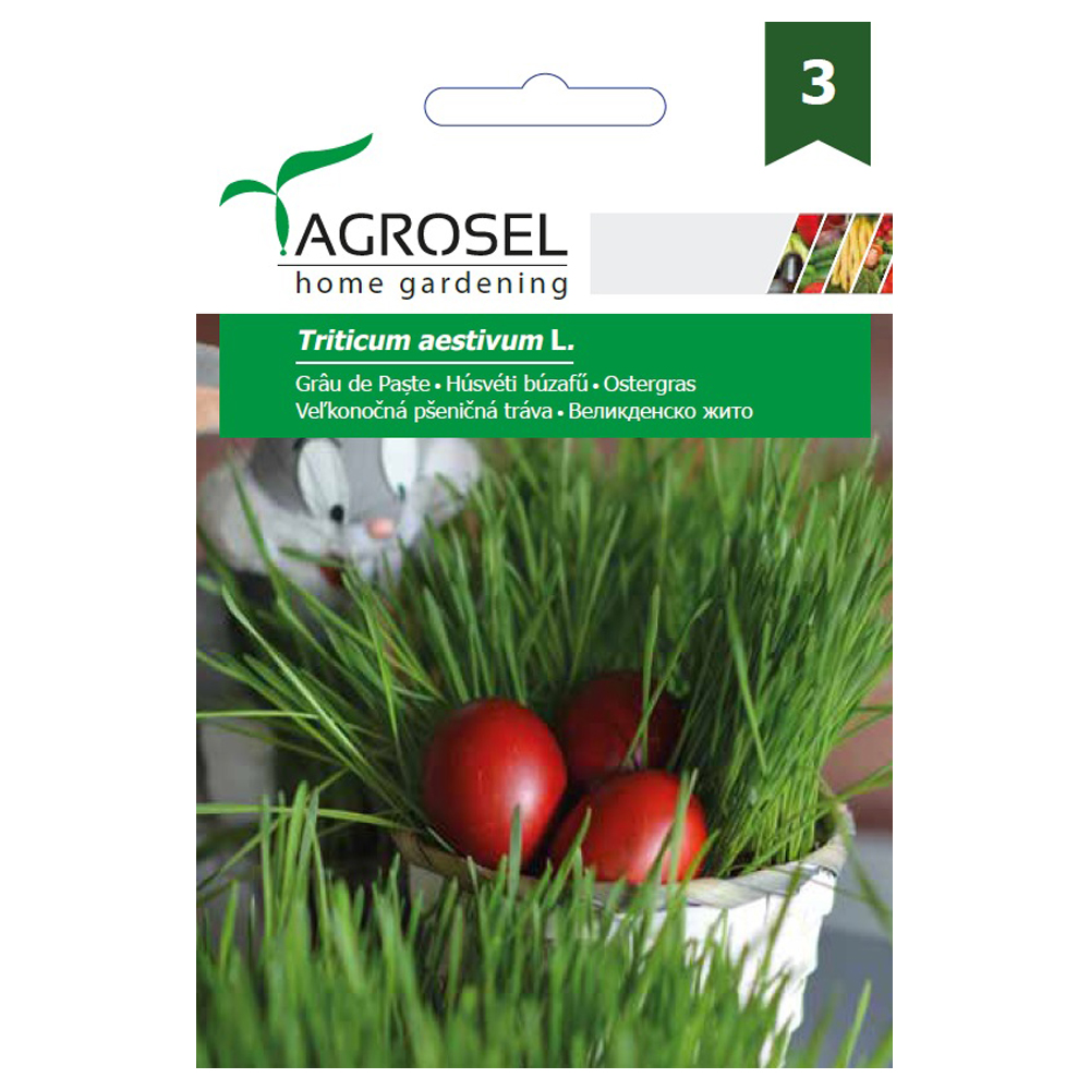 Seminte de grau de Paste, Agrosel | MatHaus