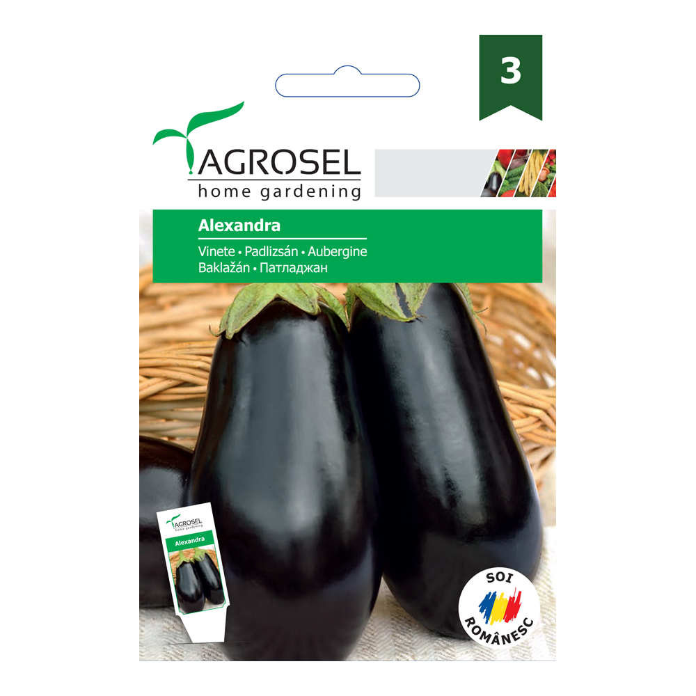 Seminte de vinete, Agrosel Alexandra | MatHaus