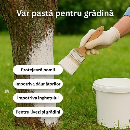 Var pasta alb, 3 kg | MatHaus